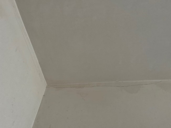 Verschillende oorzaken en soorten scheuren - Adexcon